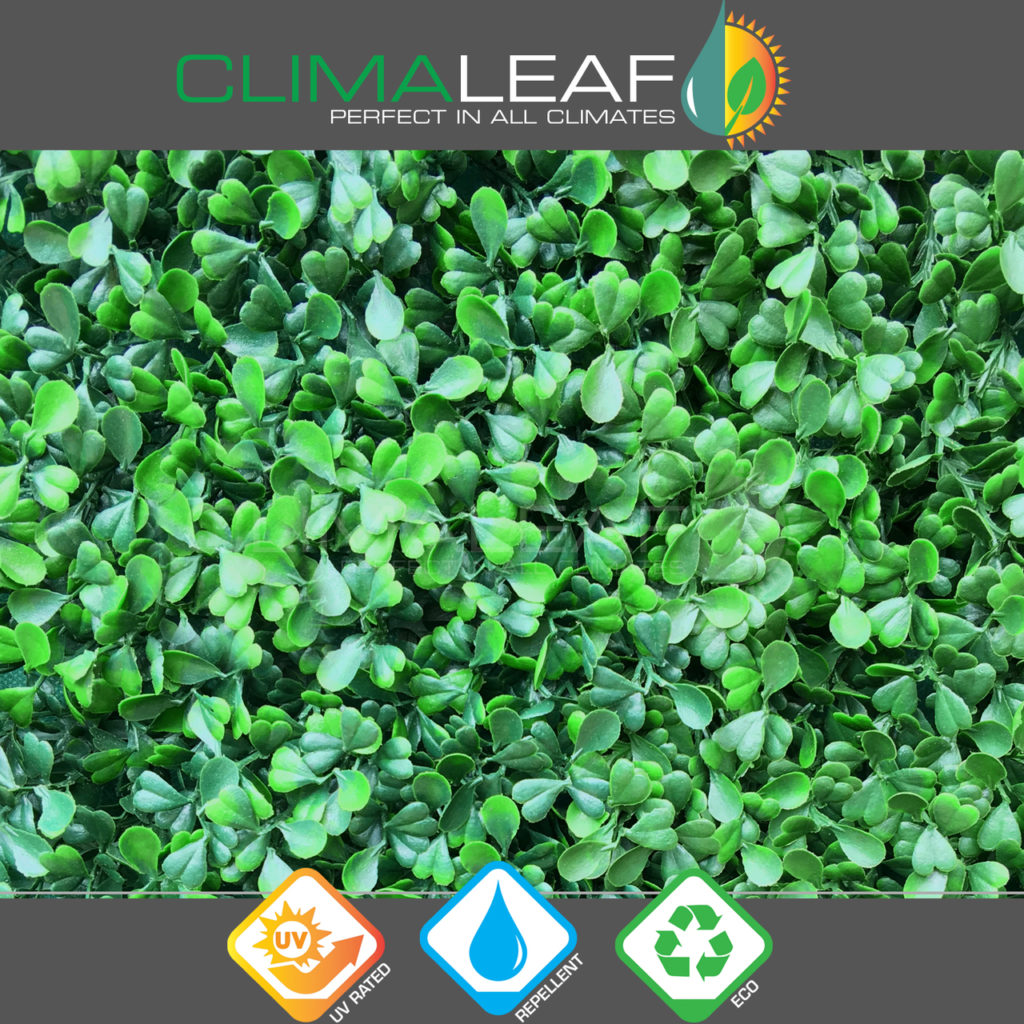 Artificial Boxwood Hedge Sheet 5′ x 7′ | Geranium Street