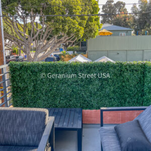 Artificial Boxwood Hedge Sheet 5′ x 7′ | Geranium Street