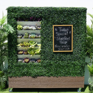 Storefront Hedge | Geranium Street