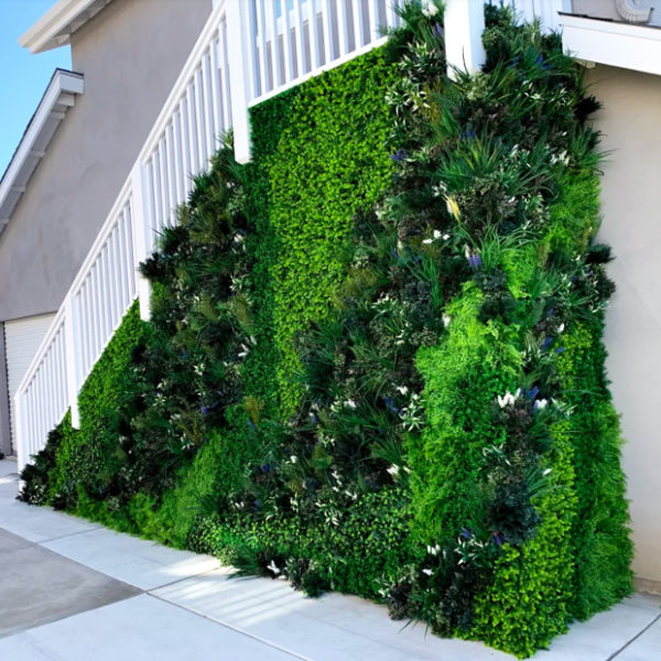 Greenery Solutions for Privacy & Beauty | Geranium Street