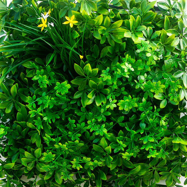 Greenery Solutions for Privacy & Beauty | Geranium Street